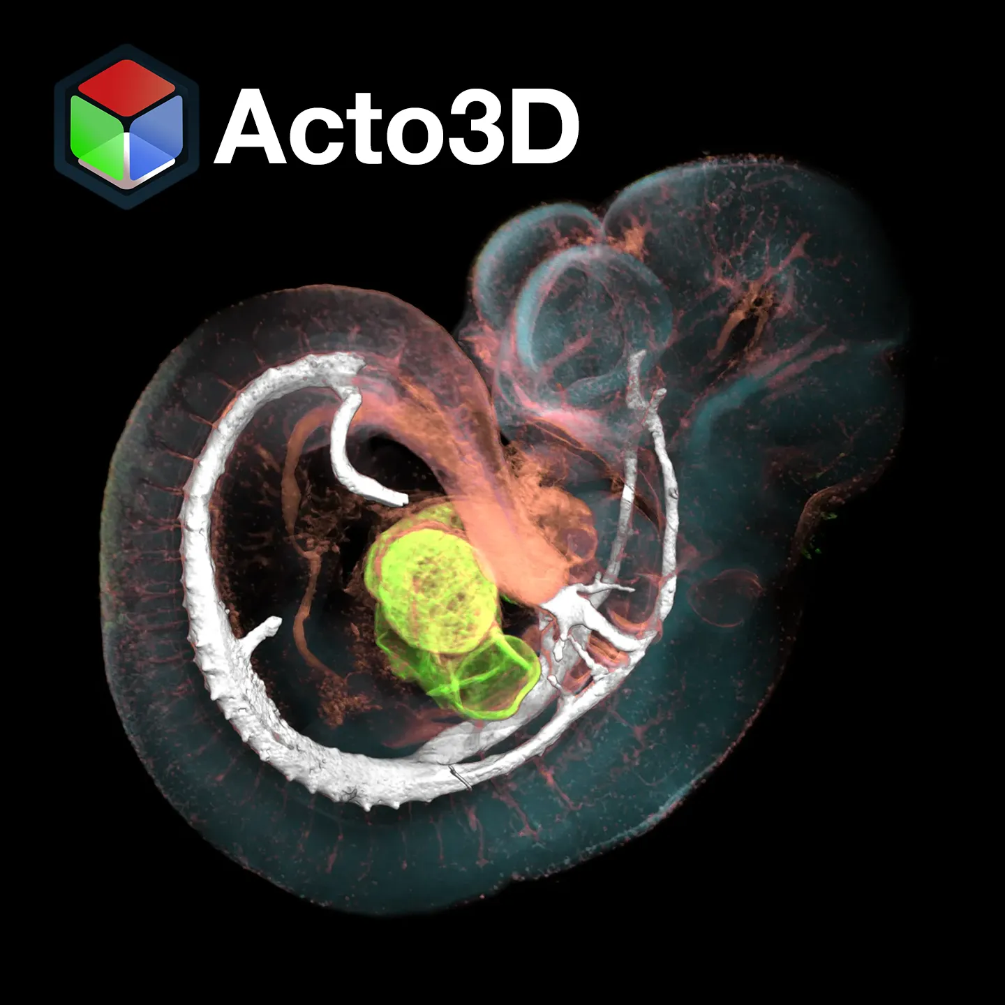 Acto3D - 3D Microscopy Visualization Software